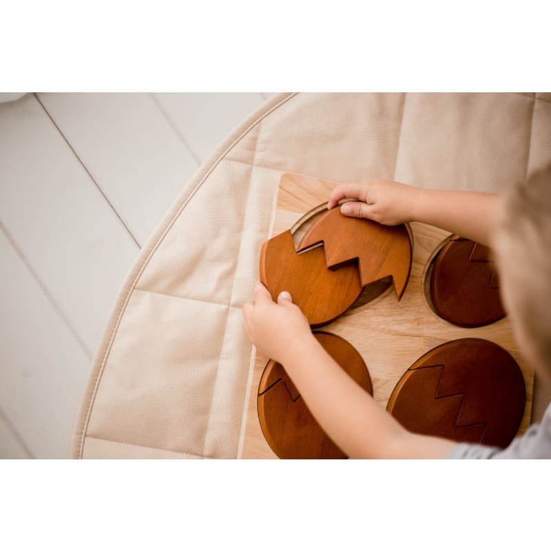 Dinosaur Hatching Puzzle | Qtoys – Dreamy Kidz